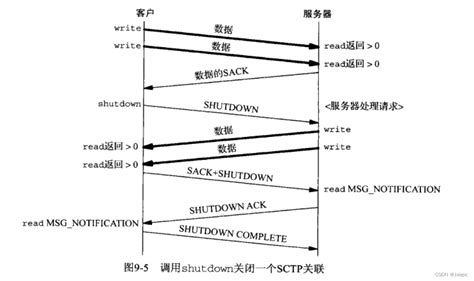 【unix网络编程】【07】sctp协议探究sctp Ppid Csdn博客