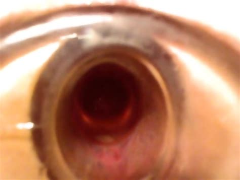 Horney Games With Tunnel Butt Plug Kingrai