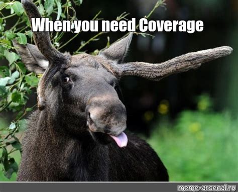 Meme When You Need Coverage All Templates Meme