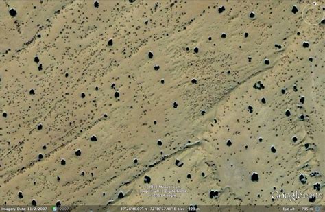 Spatial Ecology Theoretical Ecology And Evolution Laboratory