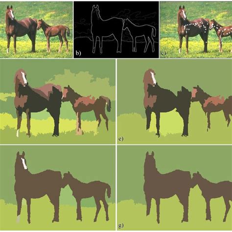 Pdf Learning A Color Distance Metric For Region Based Image Segmentation