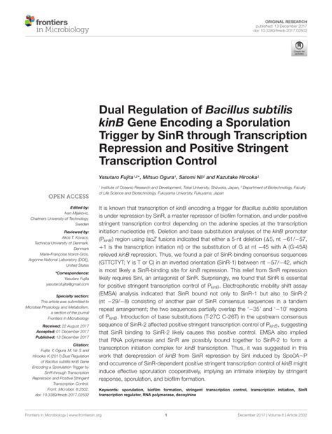 Pdf Dual Regulation Of Bacillus Subtilis Kinb Gene Encoding A Sporulation Trigger By Sinr