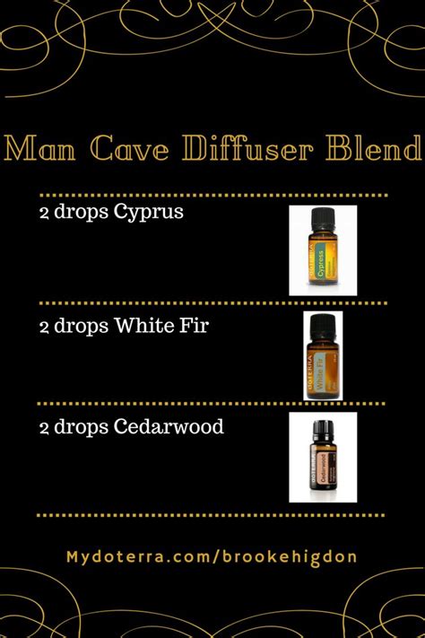 Best Images About Diffuser Blends For Men On Pinterest Man Beard Diffusers And Ptsd
