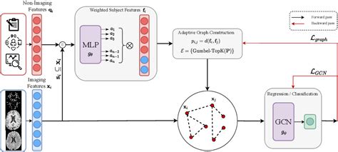 Figure 1 From Multimodal Brain Age Estimation Using Interpretable