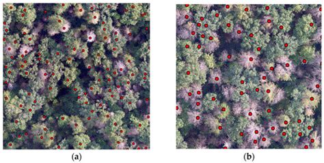 An Individual Tree Segmentation Method That Combines Lidar Data And Spectral Imagery