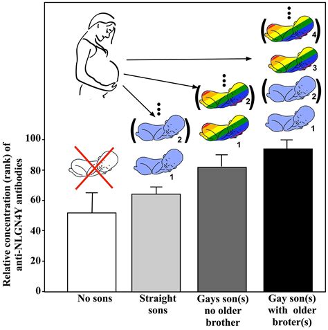 I Was Born This Way New Research Confirms That A Mix Of Prenatal Factors And Genetic