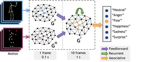 harnessing adaptability exploring self organizing incremental neural