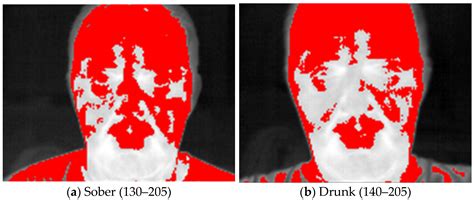 Thermal Biometric Features For Drunk Person Identification Using Multi Frame Imagery