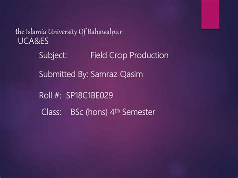 Introdection Prodection Technology Of Tea Ppt