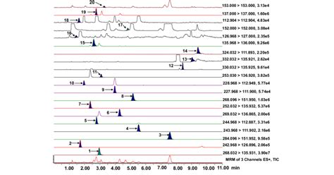 Hilic Uplc Tq Ms Ms Multiple Reaction Monitoring Mrm Chromatograms Of Download Scientific