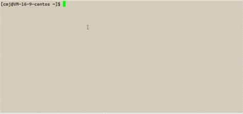 [linux开发工具]小程序 进度条、调试器 gdb 小程序开发工具 debugg csdn博客
