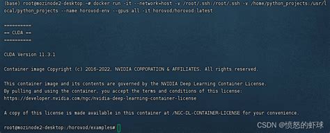 分布式训练 多机多卡 通过docker安装horovod框架 csdn博客