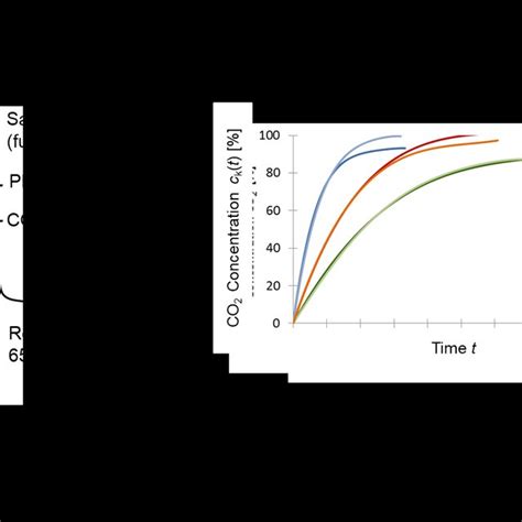 Experimental Set Up For Co2 Diffusion Test Left And Development Of