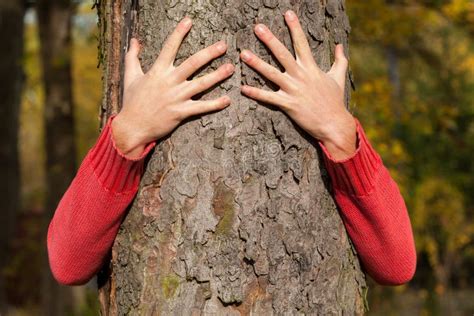 Man Hiding Behind Tree Stock Images Download 158 Royalty Free Photos
