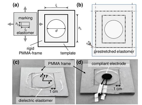 Fabrication Of Planar Dielectric Elastomer Actuators P Deas With Free