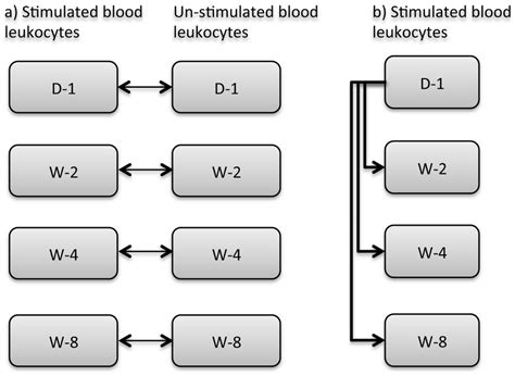 Sample Hybridization Scheme For Microarrays A Pairwise Hybridization