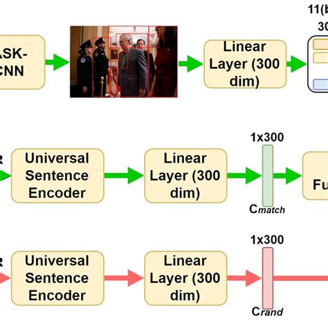 illustration of the proposed fine tuning framework we use image