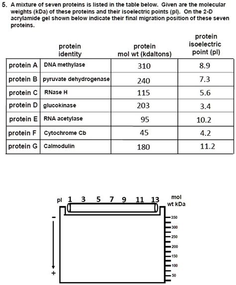 Solved A Mixture Of Seven Proteins Is Listed In The Table Below Given