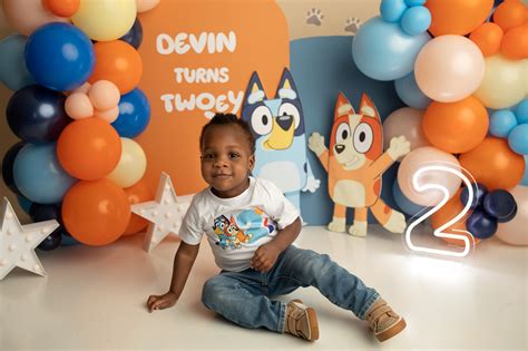 Ashley Devin Turns Twoey 💙🧡 Such A Fun Bluey Themed 2nd Birthday