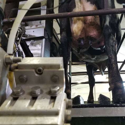 Technology Eio Diagnostics