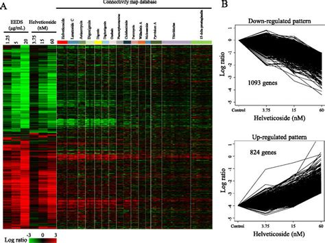 Dose Dependent Gene Expression After Eeds Or Helveticoside Treatment In Download Scientific