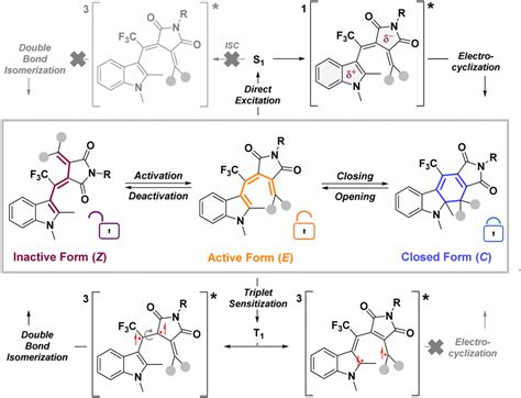 Multiplicity Driven Photochromism Controls Three State Fulgimide Photoswitches Chemical
