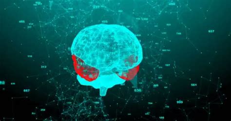 rotating human brain plexus structure evolving around seamless loop