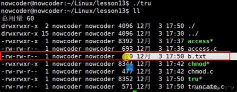 基于linux下的高并发服务器开发（第一章） 文件属性操作函数 Csdn博客