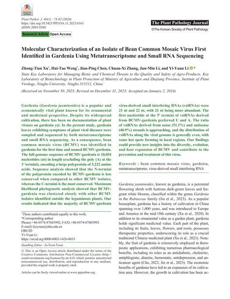 Pdf Molecular Characterization Of An Isolate Of Bean Common Mosaic Virus First Identified In