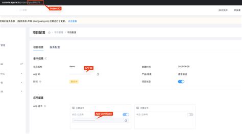 Video And Audio Call Agora VoceChat