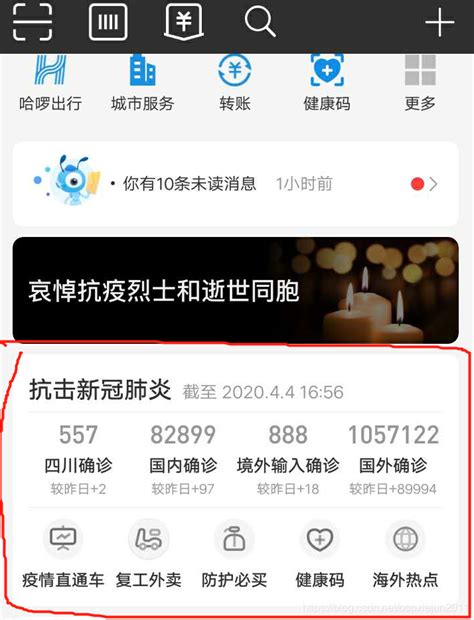 如何用一行代码实现网页变灰效果？ 网页变灰代码 csdn博客