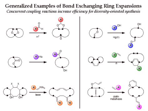 Ring Expansion Approaches To Macrocycle Synthesis Sloan Kettering Institute