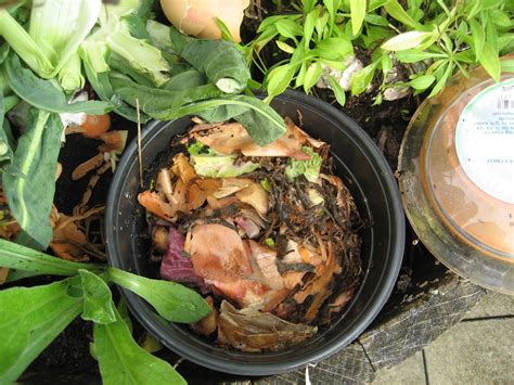 Container Composting Experiment The Canny Gardener