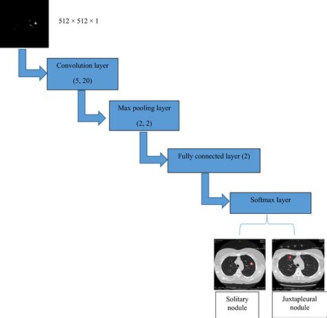 The Convolutional Neural Network Dcnn Architecture Download Scientific Diagram