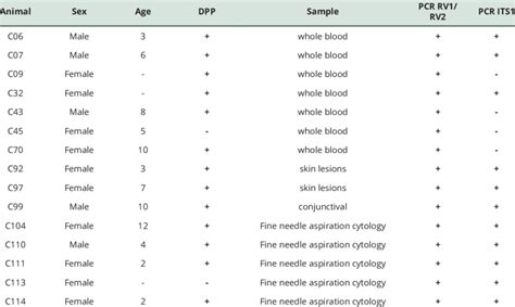 Dogs That Were Positive Through The Pcr Technique With Their Dogs That Were Positive Through The Pcr Technique With Their