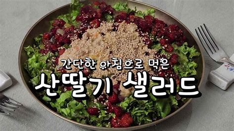 간단한 아침으로 먹은 산딸기 샐러드 Youtube