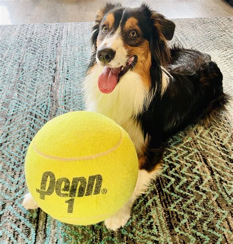 806 Best Big Balls Images On Pholder Bigballsproblems Superstonk And