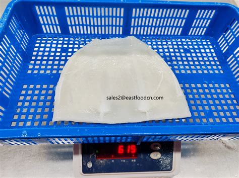 Frozen Squid Fillet Giant Squid Fillet Frozen Seafood Frozen