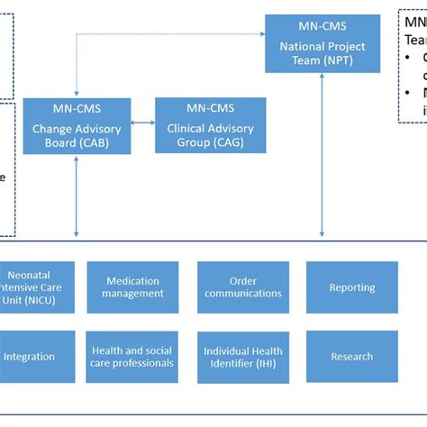 Outline Of Work Streams Required For Mn Cms Project Mn Cms Maternal
