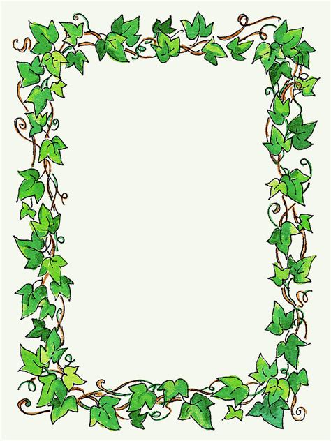 Ivy Border Drawing