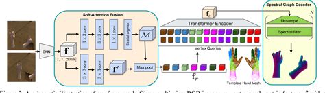 Spectral Graphormer Spectral Graph Based Transformer For Egocentric Two Hand Reconstruction