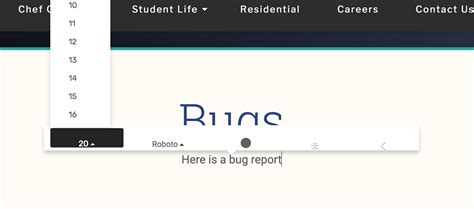 Font Size Dropdown Bug Mobirise Forums