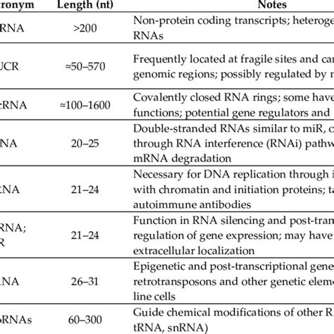 main non coding rna ncrna classes listed according to increasing