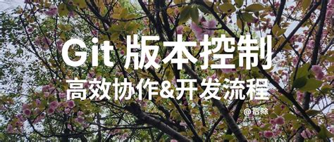 git 版本控制：构建高效协作和开发流程的最佳实践 除除