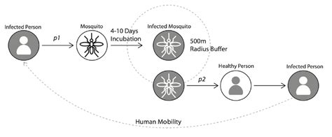 Using Random Forest Algorithms To Predict Dengue Fever ﻿cases In Singapore Diego F Garzón