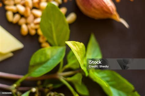 이탈리아 파스타 소스레몬 바 질 어린 준비에 대 한 신선한 재료 삼나무 견과류 큰 마늘 정 향 그리스 올리브 기름 파 르 메 산 치즈의 씨앗을 벗 겨 건강한 생활방식에 대한