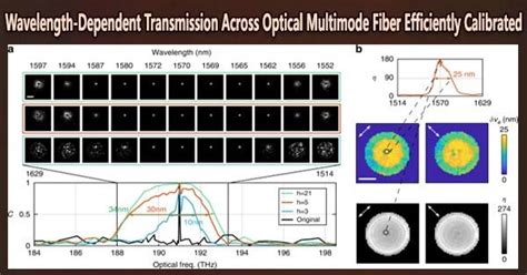 Wavelength Dependent Transmission Across Optical Multimode Fiber Efficiently Calibrated