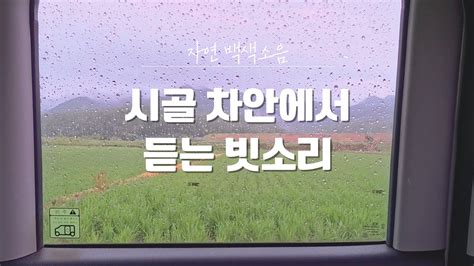 시골 차안에서 듣는 빗소리 자연의소리 백색소음 Asmr Youtube