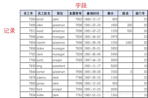 表结构数据 表格是内置结构体数据吗 csdn博客