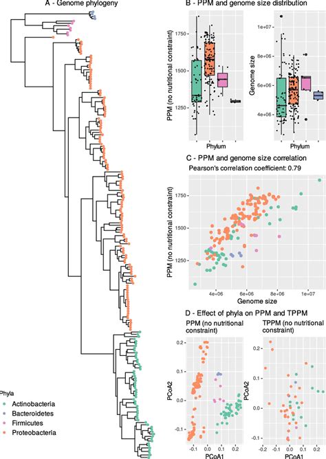Description Of The 193 Genomes Collected From A Thaliana Root